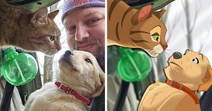 People Send Pics Of Their Pets To This Artist And She Disneyfies Them ...