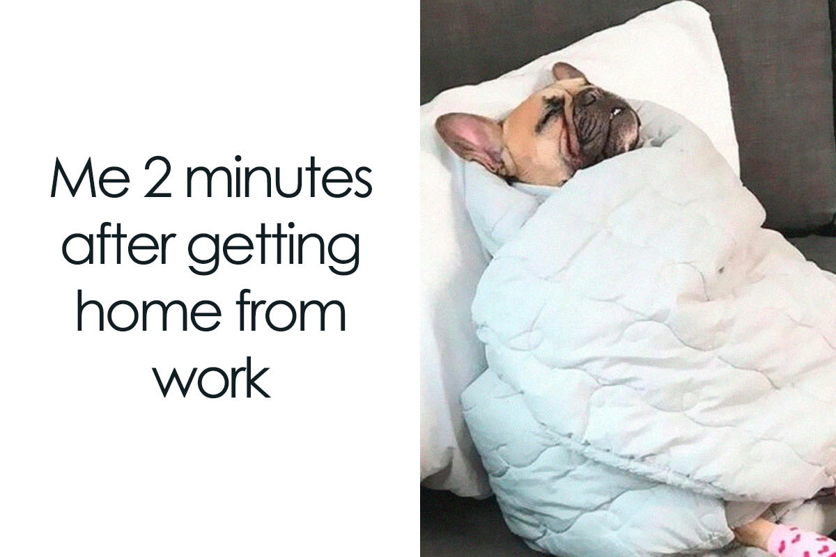 50 Funny Memes To Help You Get Through The Work Day | Bored Panda