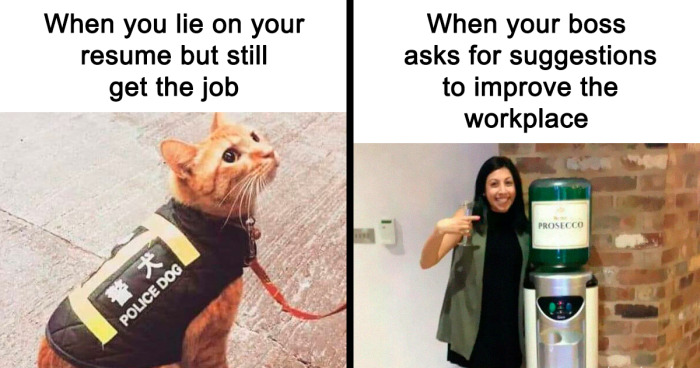 50 Funny Memes To Help You Get Through The Work Day | Bored Panda