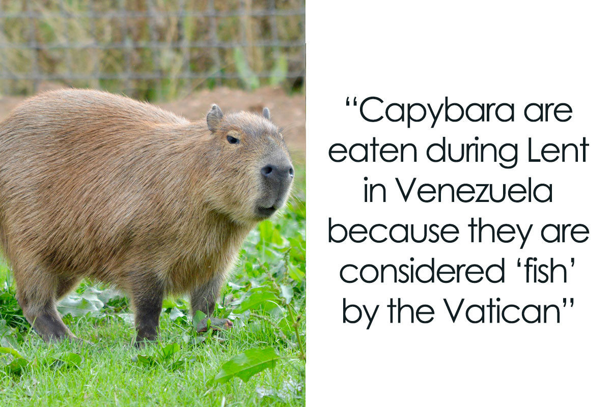 “Today I Learned”: 40 Interesting Facts About The World That Many Have ...