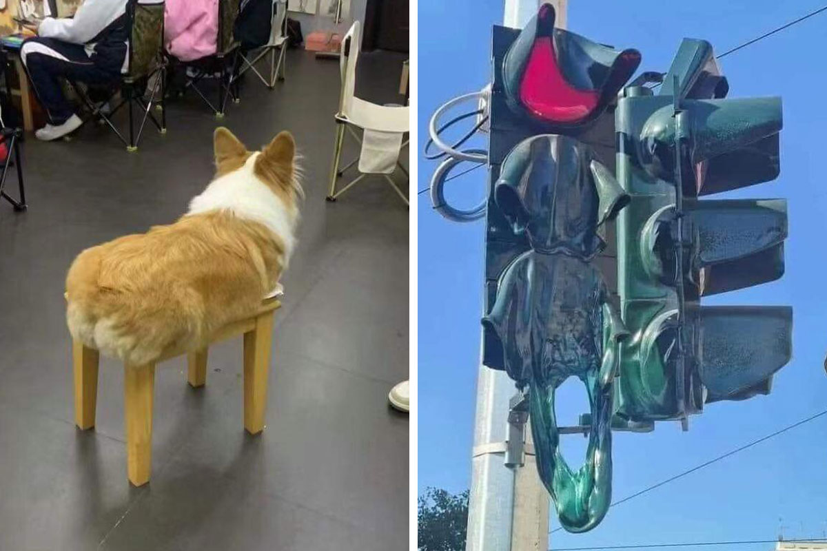 This Page Posts Pics With No Context For Your Entertainment, And Here’s ...