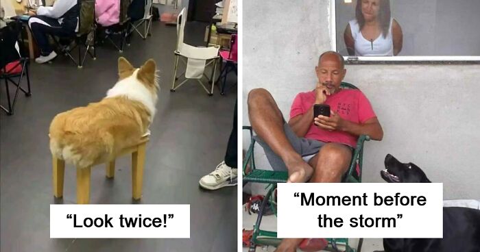 This Page Posts Pics With No Context For Your Entertainment, And Here’s ...