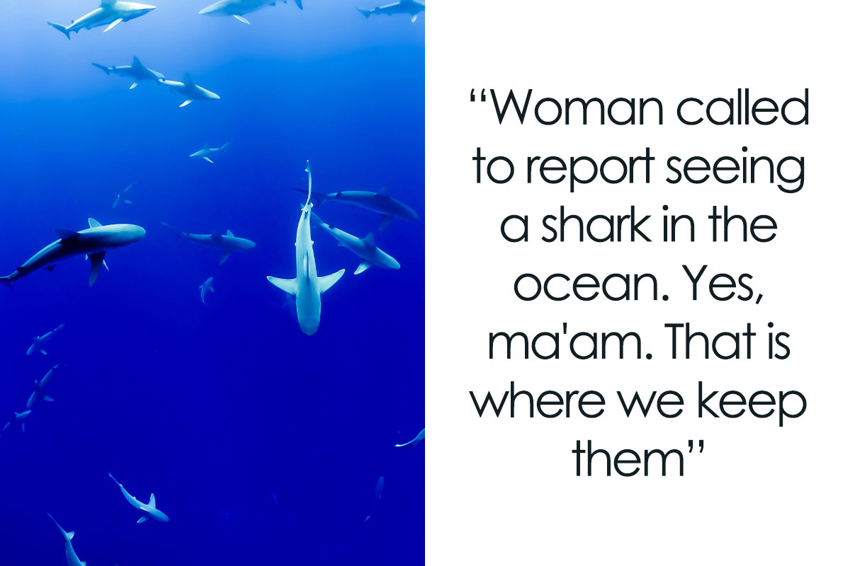 911 Calls During Which Dispatchers Could Barely Stop Themselves From ...