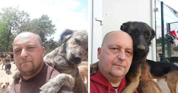 This Serbian Man’s Shelter Houses Thousands Of Dogs With Love | Bored Panda
