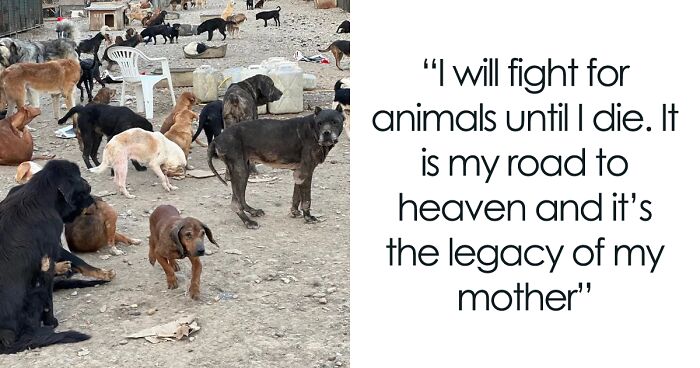 This Serbian Man’s Shelter Houses Thousands Of Dogs With Love | Bored Panda