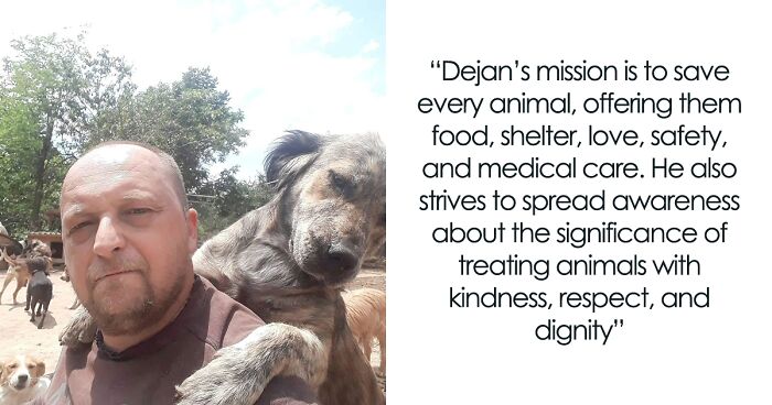 This Serbian Man’s Shelter Houses Thousands Of Dogs With Love | Bored Panda