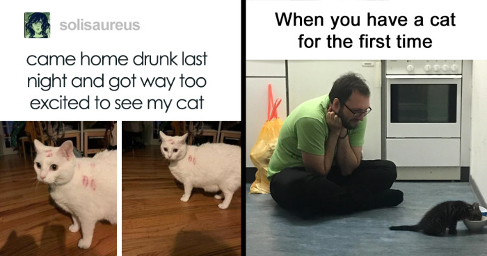 50 Of The Funniest And Most Relatable Cat Memes Shared By This IG Page
