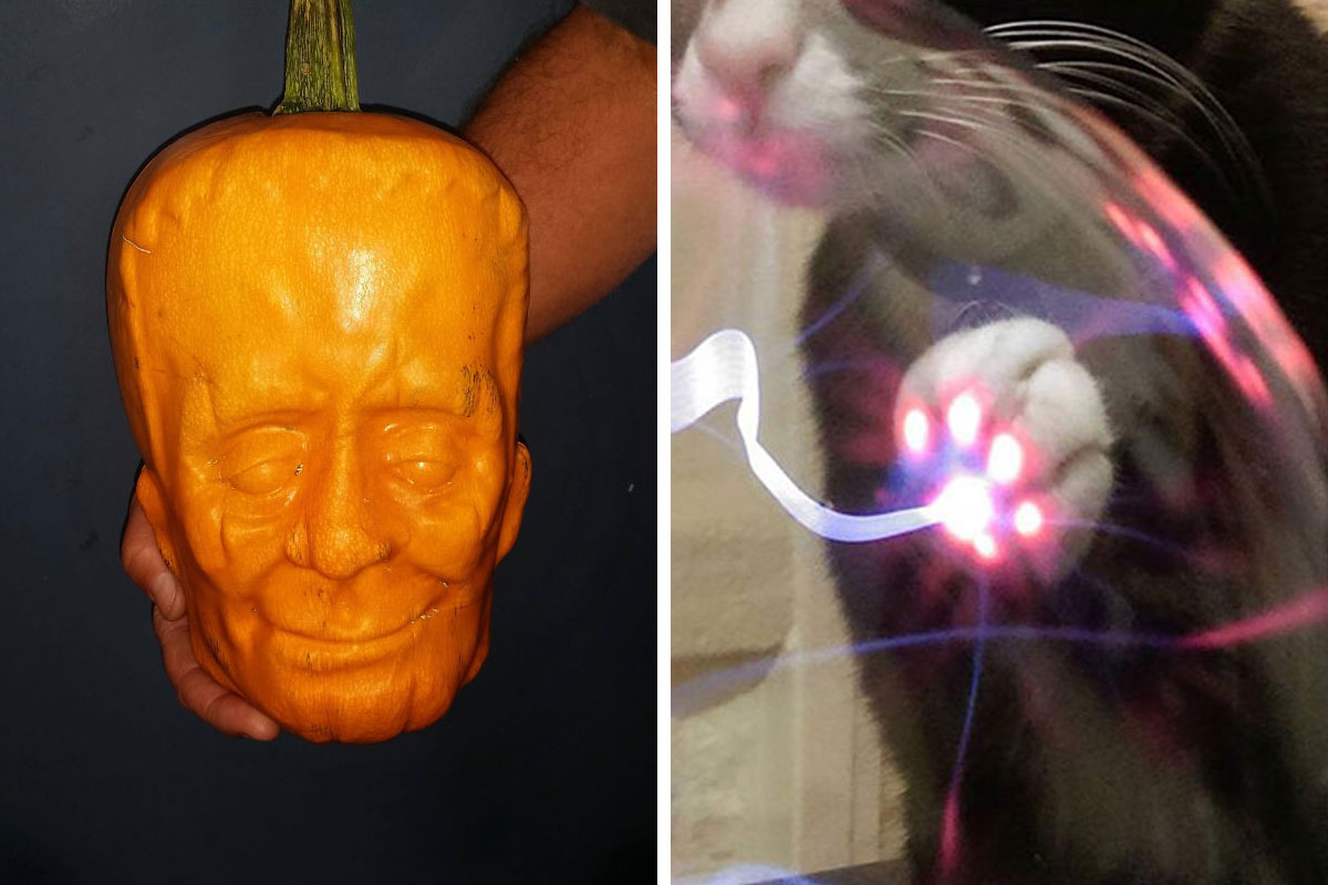 50 ‘Mildly Interesting’ Things That May Surprise You (Best Of All Time ...