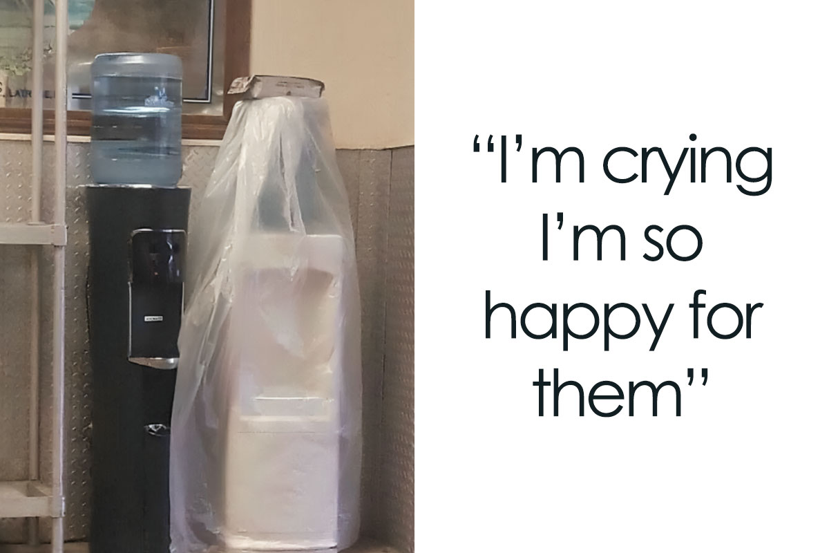 50 Times People Saw Something That Made Them Go ‘Hmmm’ And They Just ...