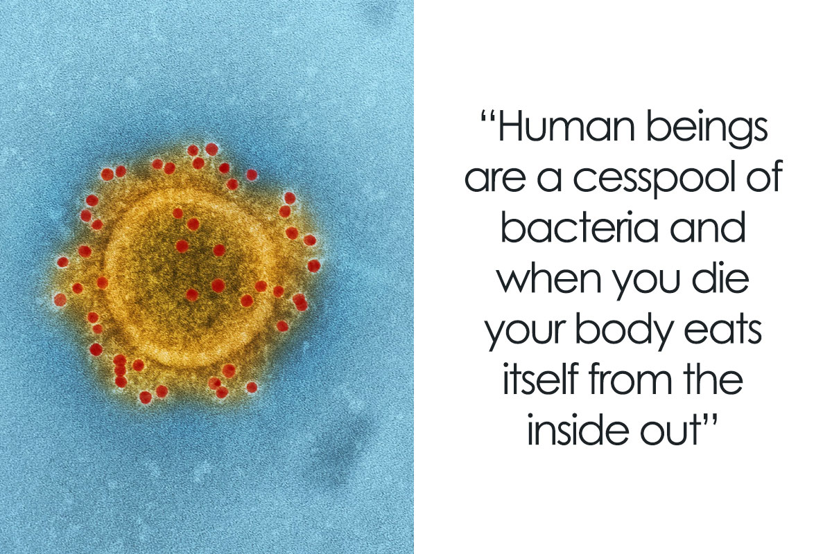 30 Cool But Pretty Disturbing Facts About The Human Body That Not Many ...