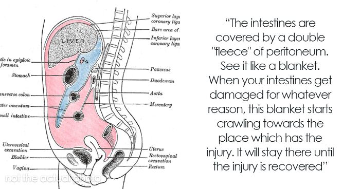 30 Cool But Pretty Disturbing Facts About The Human Body That Not Many ...
