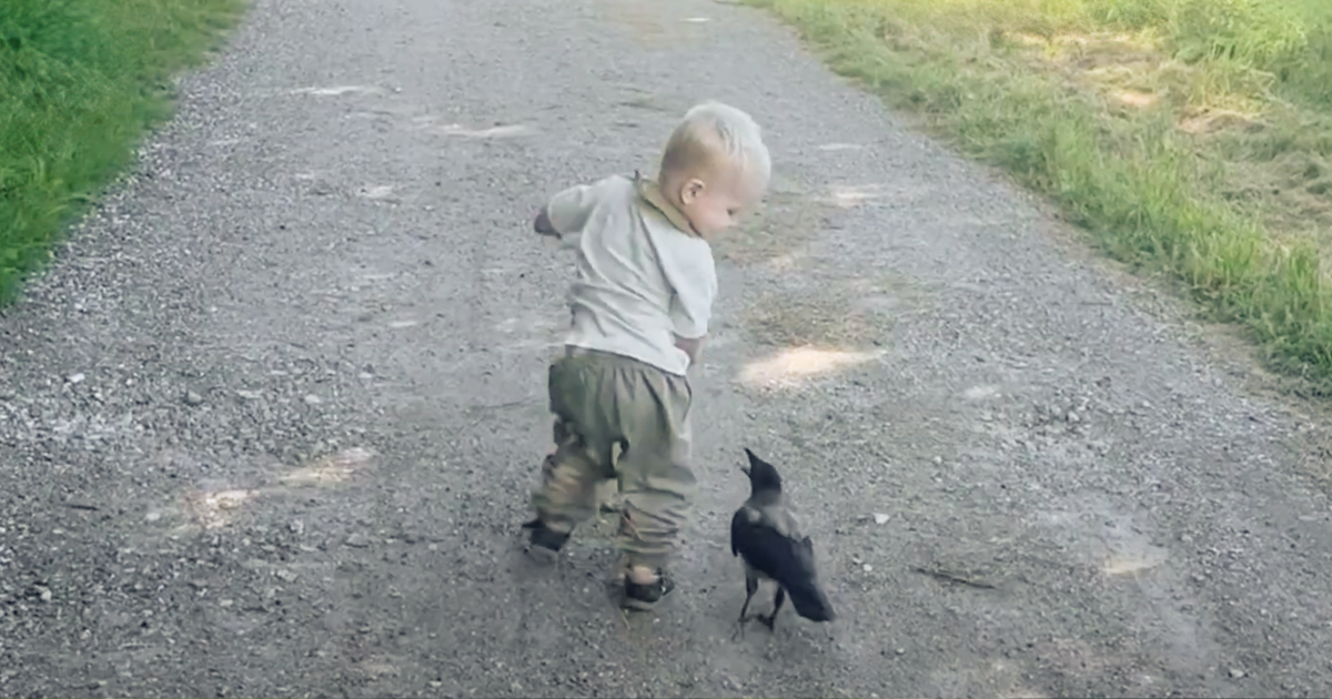 “They Have A Special Bond”: A 2-Year-Old Boy And His Crow | Bored Panda