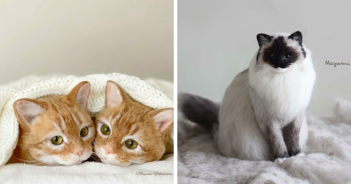 This Japanese Artist Creates Realistic Cats With Needle Felting, And ...