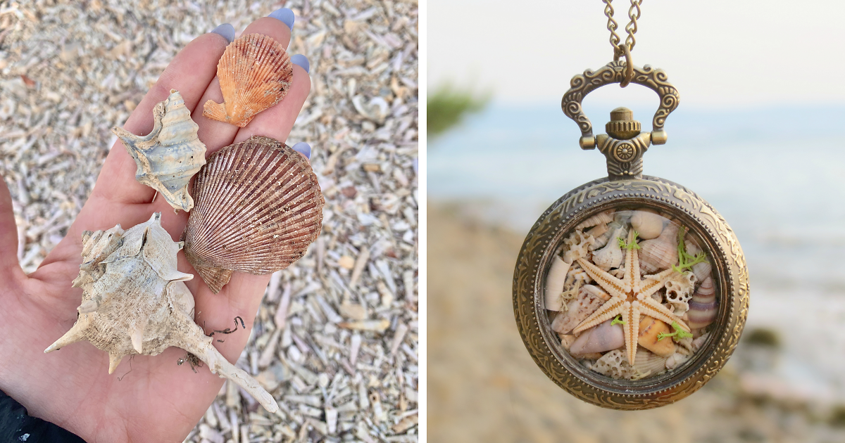 I Made Jewellery Using Shells From An Enchanting Beach