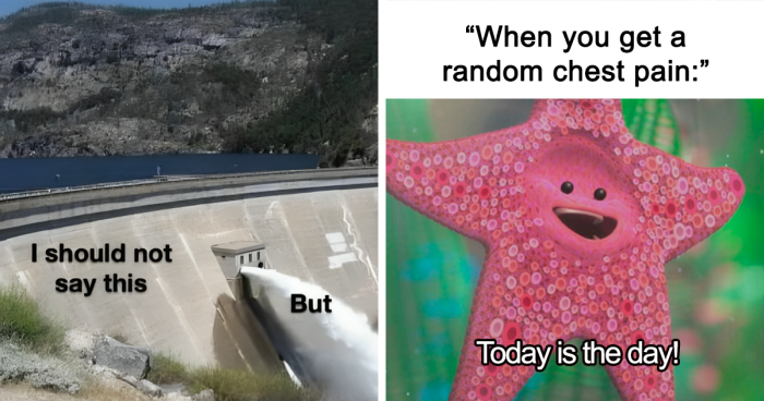 50 Funny Memes Those Who Are Barely Functioning Will Probably Relate To ...