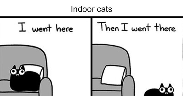 50 Of The Newest Comics About Life As An Introvert By Sarah Andersen