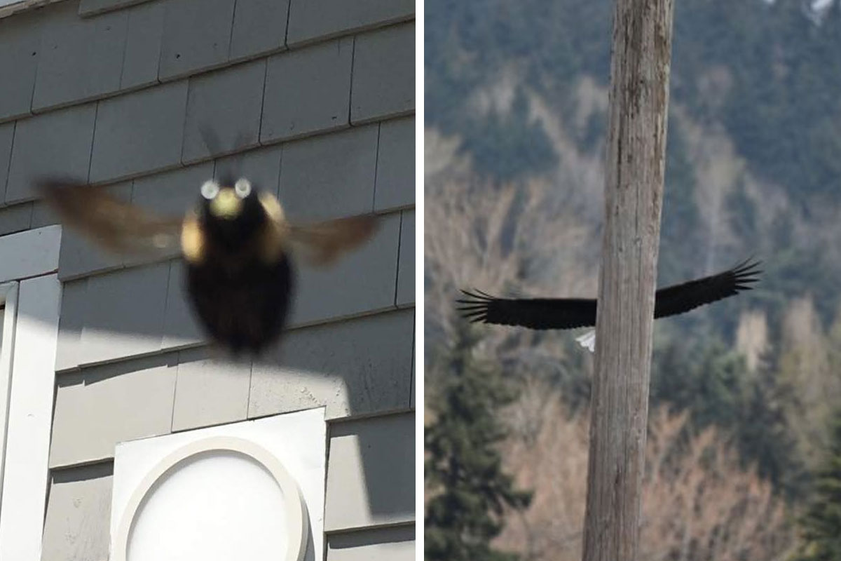 This Facebook Group Is All About “Oof” Wildlife Photos, And They Are So ...