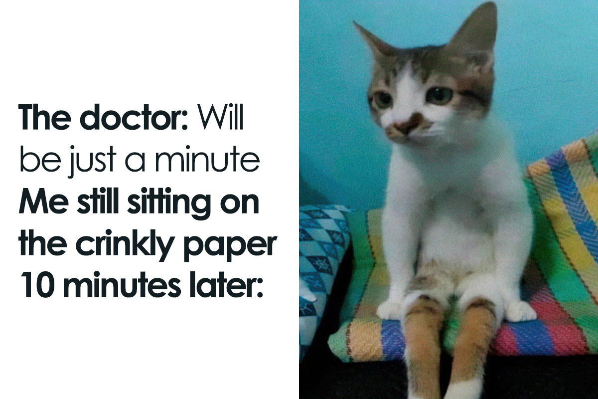 This IG Page Is Dedicated To Random And Funny Memes, Here Are The 50 ...