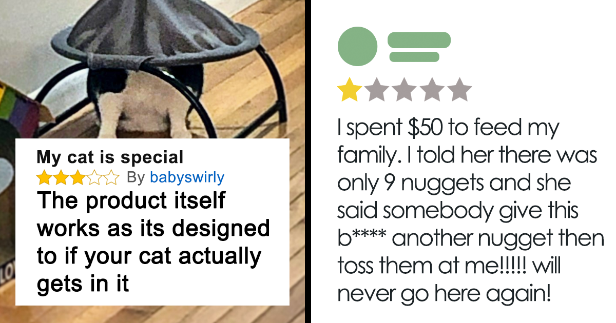 40 Times People Won The Internet With Their Hilarious Reviews - ReportWire