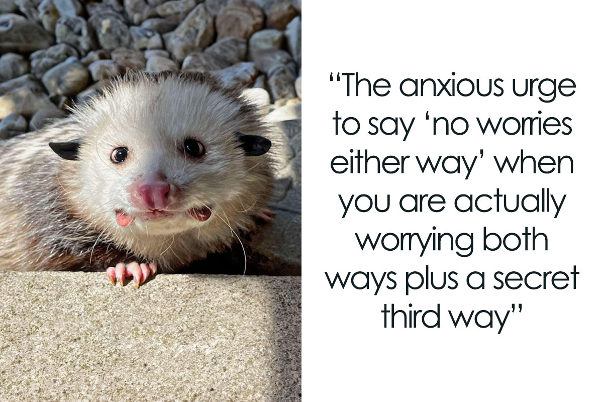 50 Times Animals Were The Perfect Meme Format, As Shared On This ...