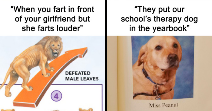 50 Times Animals Were The Perfect Meme Format, As Shared On This ...