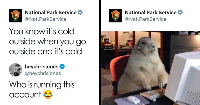 50 Times Animals Were The Perfect Meme Format, As Shared On This ...