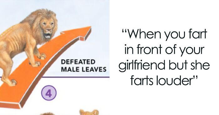 50 Times Animals Were The Perfect Meme Format, As Shared On This ...