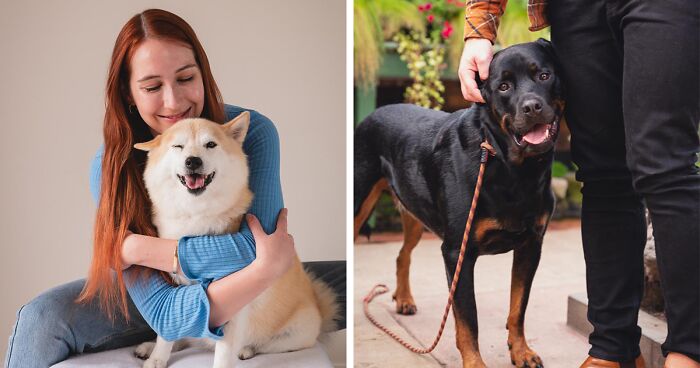 I Photographed 14 Dogs Interacting With Their Humans | Bored Panda