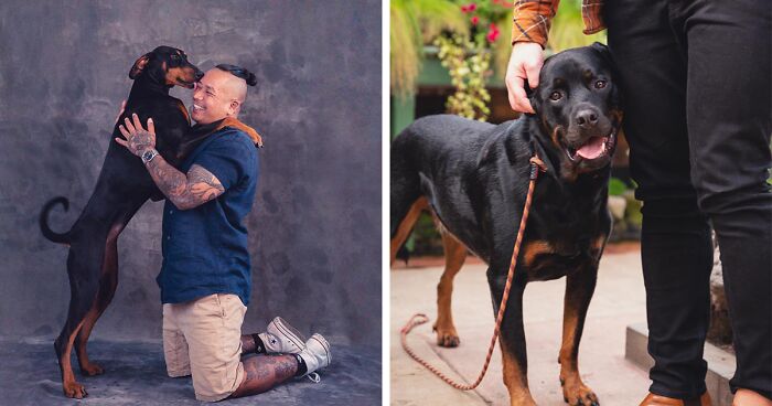 I Photographed 14 Dogs Interacting With Their Humans | Bored Panda