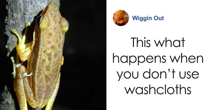 Scientists Baffled By Unprecedented Sight Of Living Frog With Mushroom ...