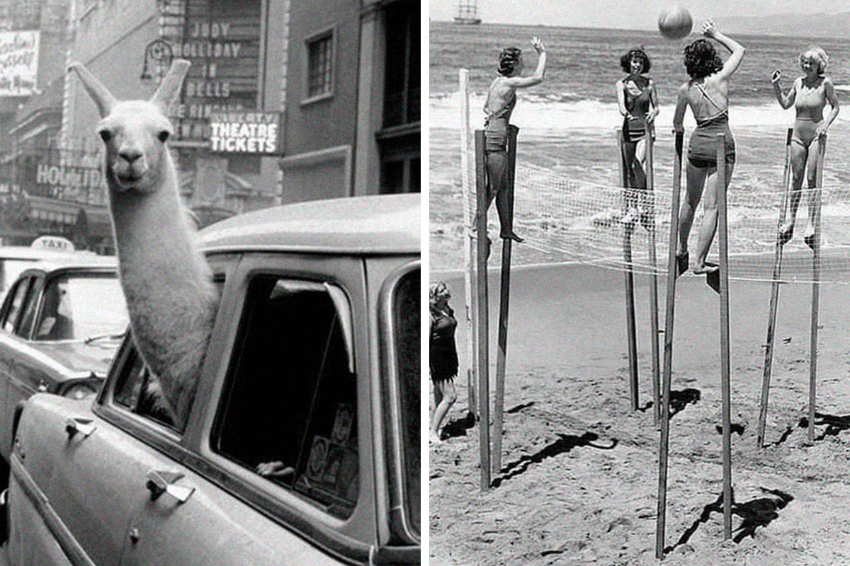 50 Interesting Photographs From The Past That Might Help You Learn ...