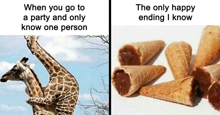 50 Introvert Memes For Anyone Who Loves Staying Home And Recharging ...