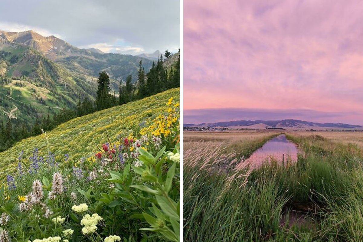 ‘Rate This Meadow’: 30 Beautiful Images To Transport You To A Tranquil ...