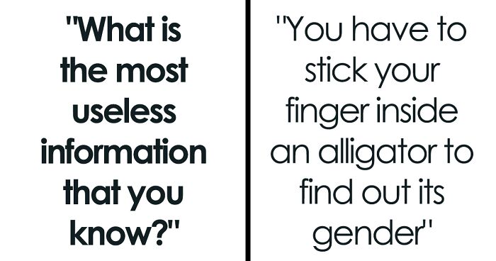 30 Useless Facts That Will Just Take Up Space In Your Head, Unless You ...