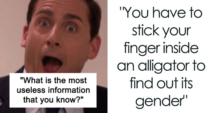 30 Useless Facts That Will Just Take Up Space In Your Head, Unless You ...