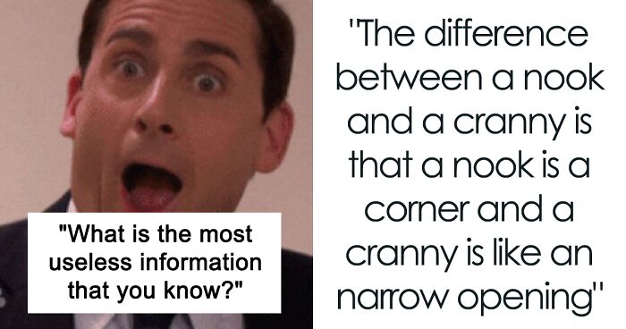 30 Useless Facts That Will Just Take Up Space In Your Head, Unless You ...