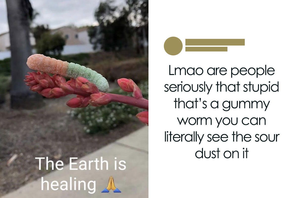 30 Hilarious Screenshots Of Overconfident People Completely Missing The ...