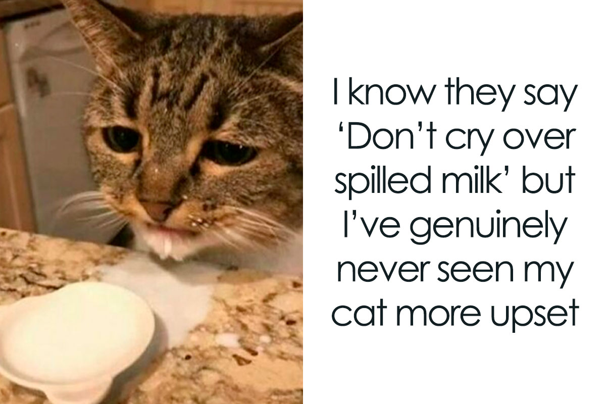 40 Random Memes To Entertain, Concern, Or Both | Bored Panda