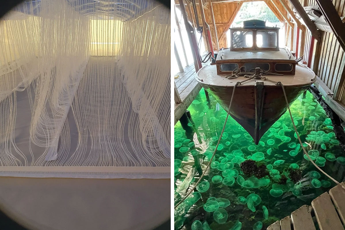 50 Curious Pictures Of Things People Don’t Get To See Often (New Pics ...