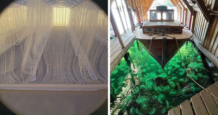 50 Curious Pictures Of Things People Don’t Get To See Often (New Pics)