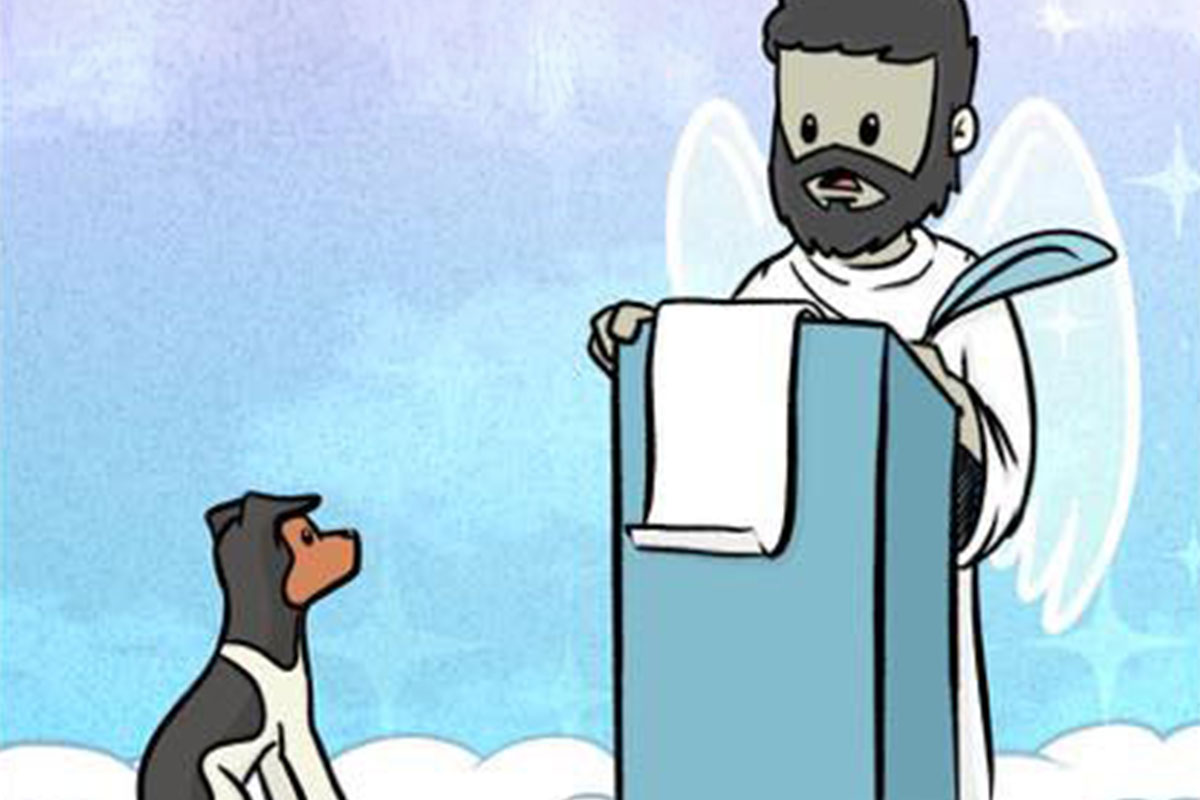 28 New ‘Hey Buddy Comics’ About The Bond Between People And Dogs ...