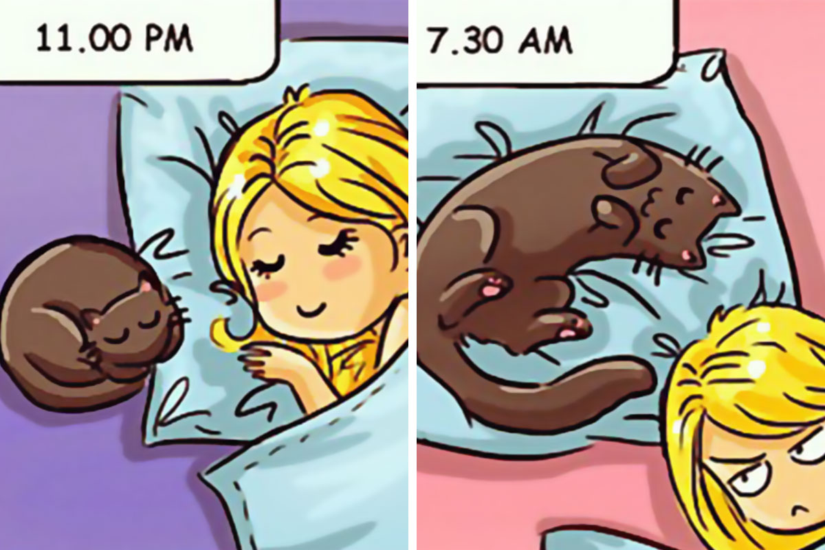 30 Comics Perfectly Depicting Hilarious Cat Antics, By This Artist From ...