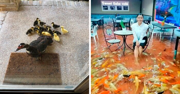 This Facebook Group Shares Strange Things About The World, And Here Are ...