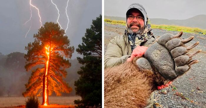 This Facebook Group Shares Strange Things About The World, And Here Are ...