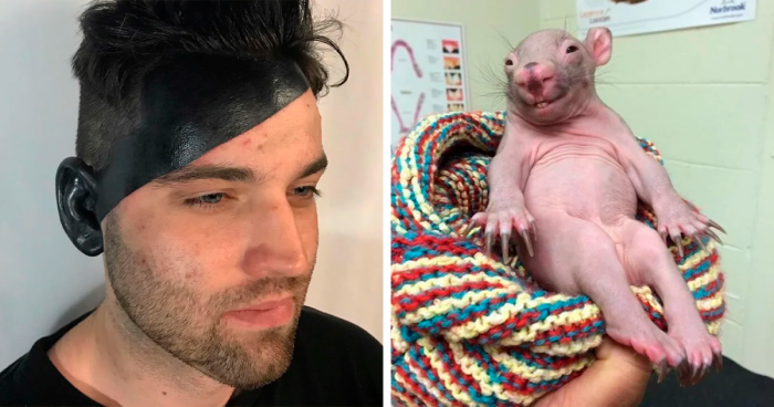 35 Unsettling Pics That Might Immediately Get A “Thanks, I Hate It ...