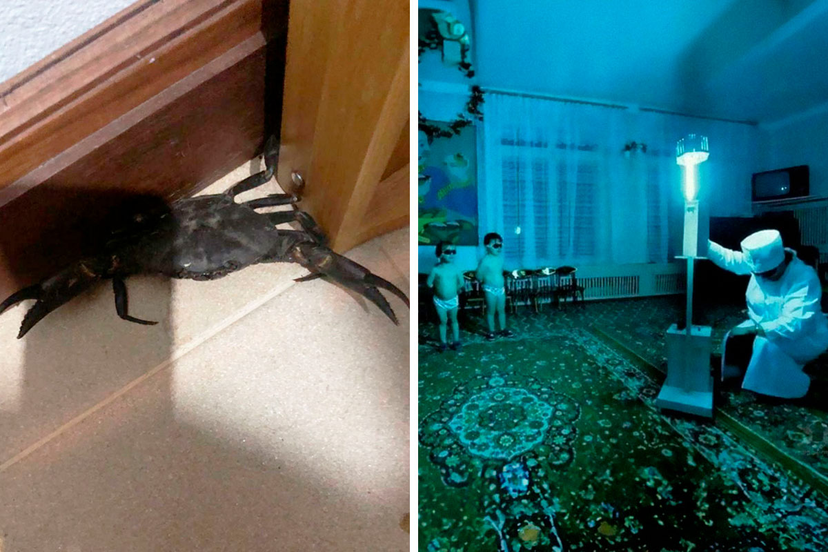 “For The Weird, Strange, Odd And Bizarre”: 50 Pics From This Strange ...