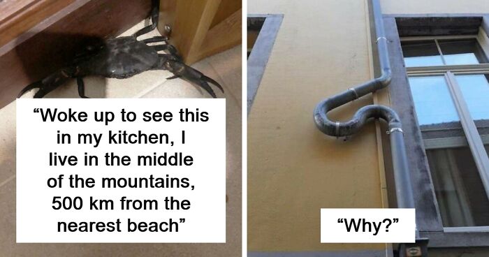 “For The Weird, Strange, Odd And Bizarre”: 50 Pics From This Strange ...