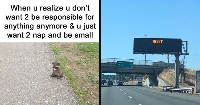 50 ‘Why Is My Brain Like This’ Memes That Almost Seem Like Personal ...