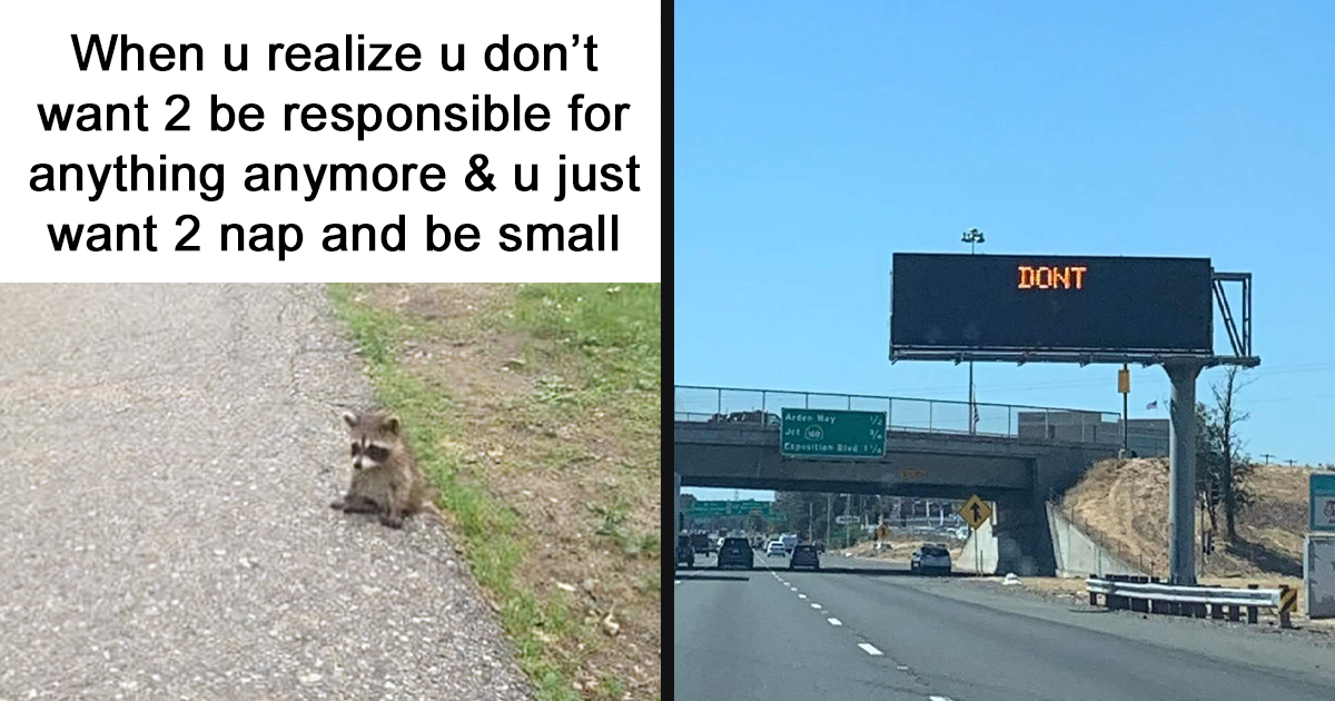 50 ‘Why Is My Brain Like This’ Memes That Almost Seem Like Personal ...