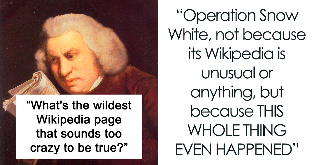 38 Wikipedia Pages That Are So Wild People Online Can’t Believe That ...